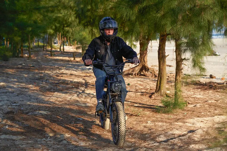 Retro Style Off-Road E-Bike with Dual Motor and Dual Battery: Meelod D ...