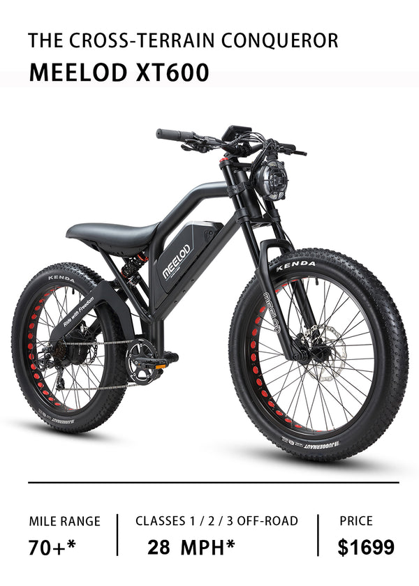 Meelod's Vintage eBikes - Retro Style Meets Modern Performance