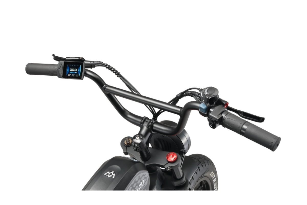 MEELOD Dual Motor Ebikes